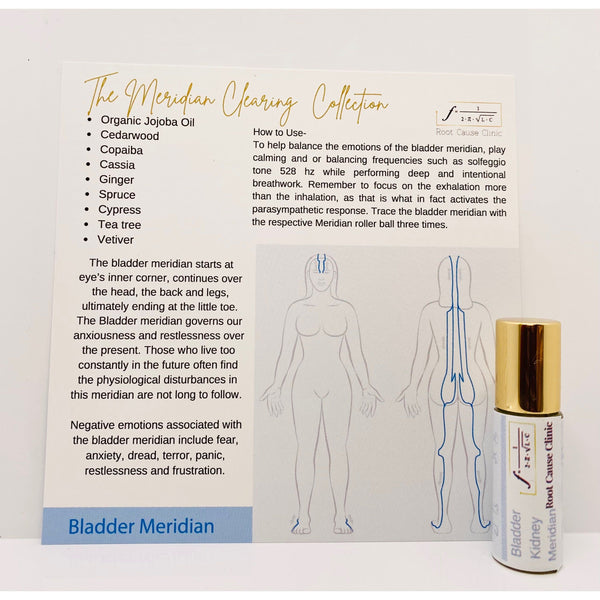 Bladder/Kidney Meridian Roller – Root Cause Clinic