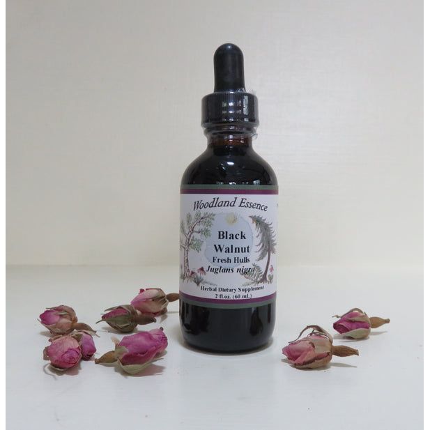 BLACK WALNUT EXTRACT – Root Cause Clinic